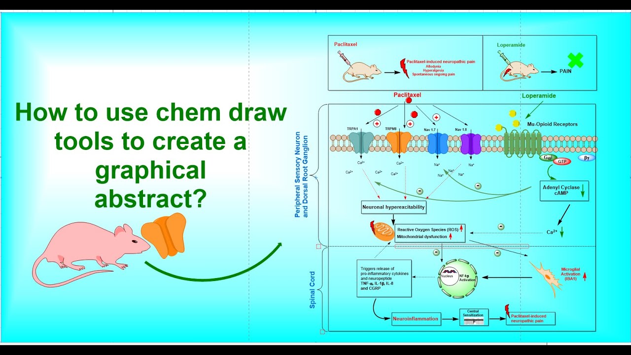 How to use Chem Draw Tools to create a graphical abstract? || Research ...