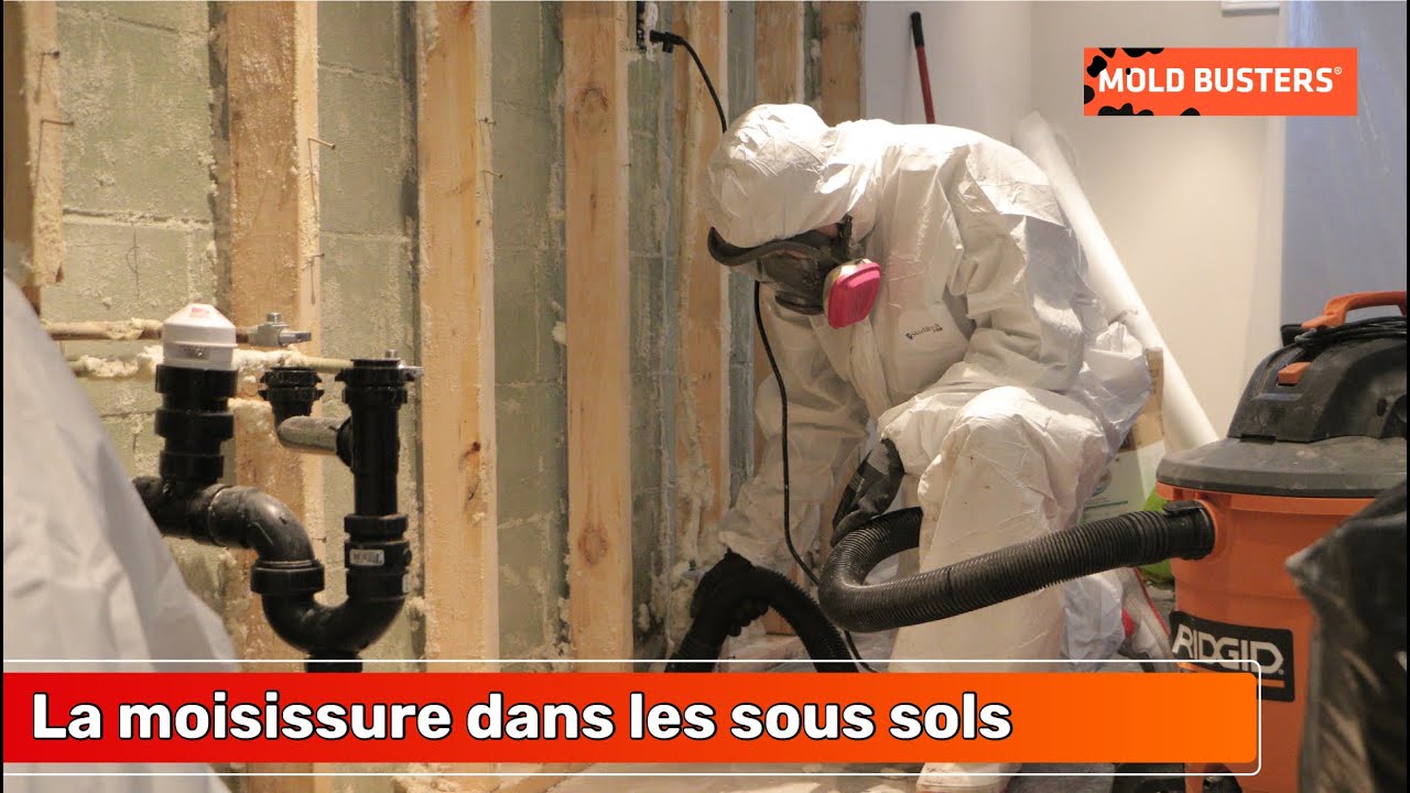 La moisissure dans les sous sols - YouTube
