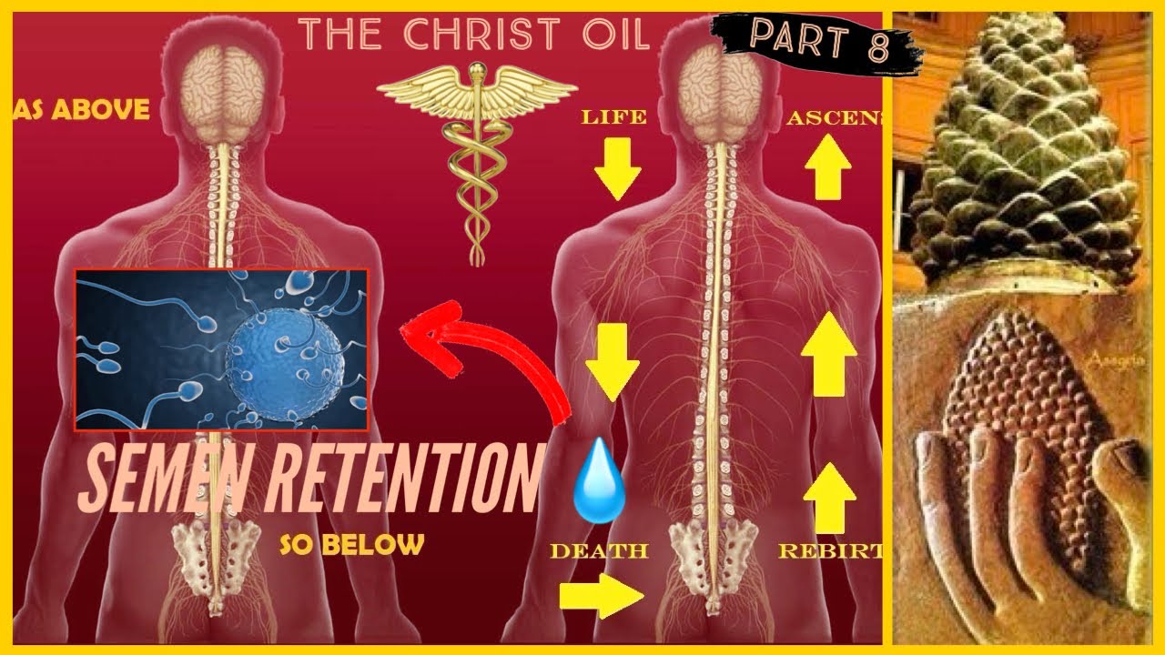 Deeper Than Surface Level | Ancient Secret of the Fourth Eye | Pineal ...