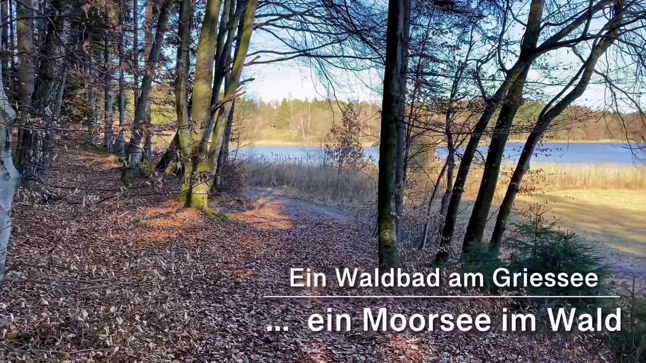 Badesee Griessee • Badeurlaub • Wassertemperatur