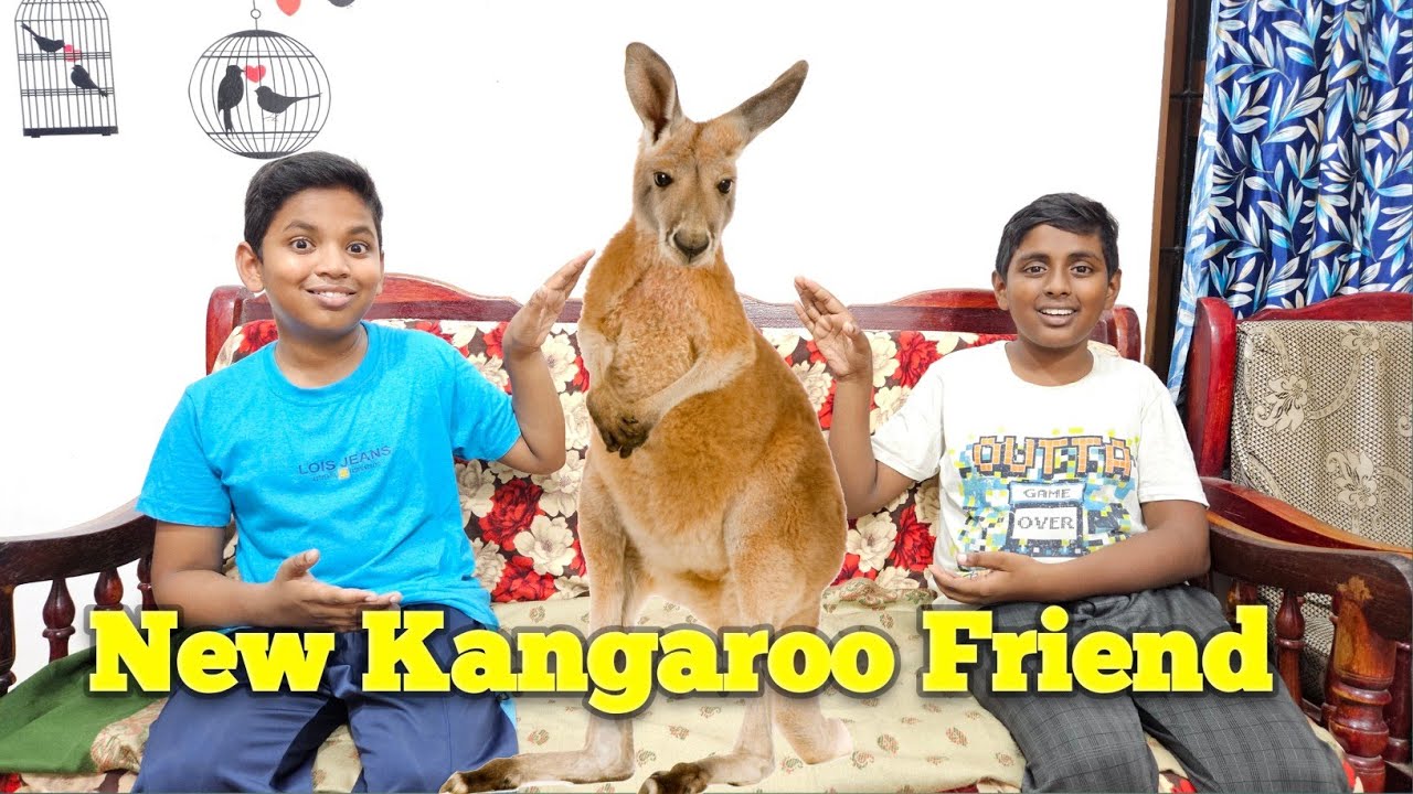 New Kangaroo Friend 🦘|comedy videos | funny video | Monika miniature ...