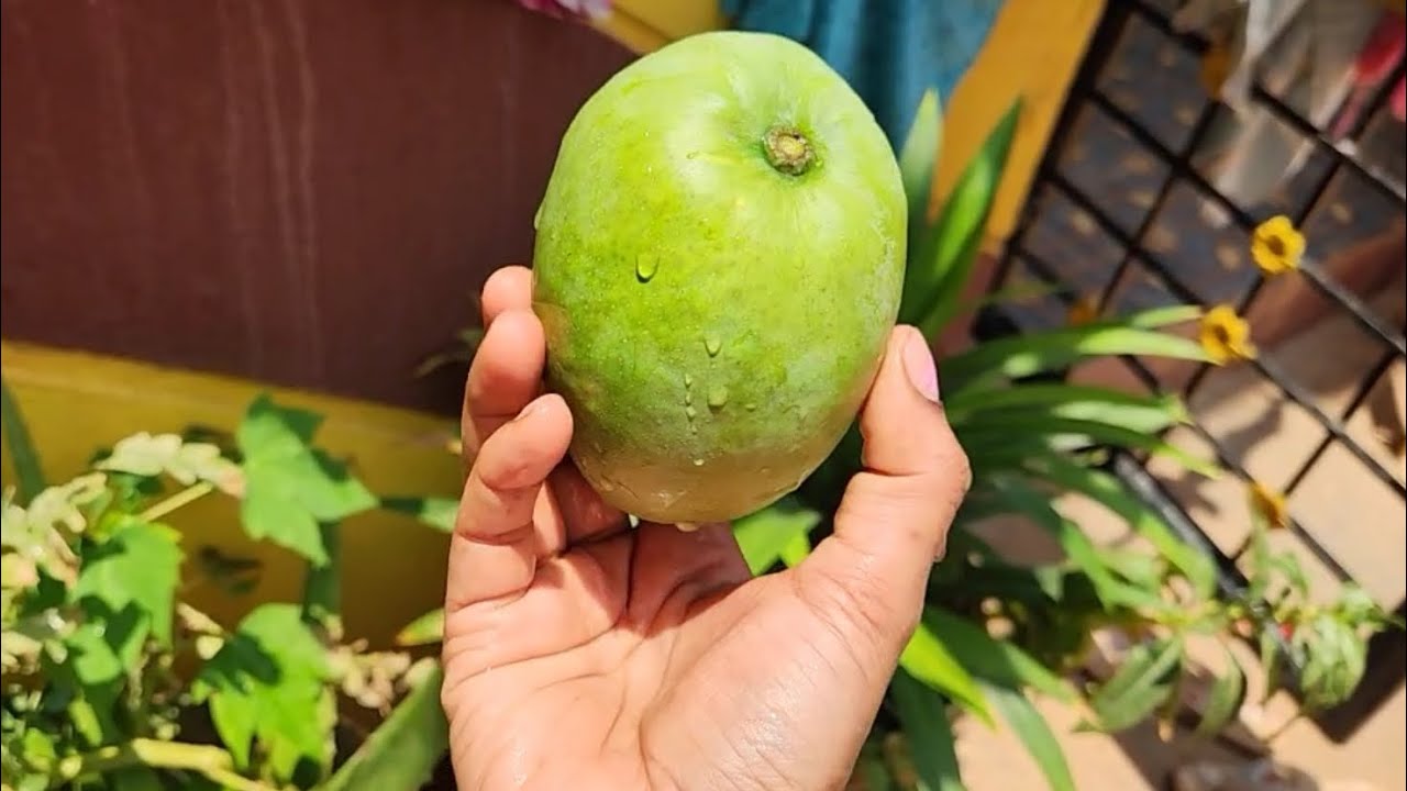 Instant ಉಪ್ಪಿನಕಾಯಿ ರೆಸಿಪಿ / Quick pickle recipe / Mango pickle ...