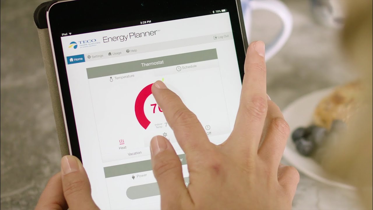 Tampa Electric’s Energy Planner puts you in control of your energy ...