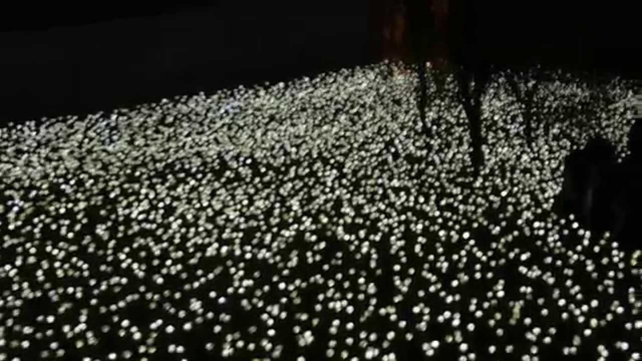 동대문디자인플라자 ( DDP ) LED 장미 ( LED Roses ) - YouTube