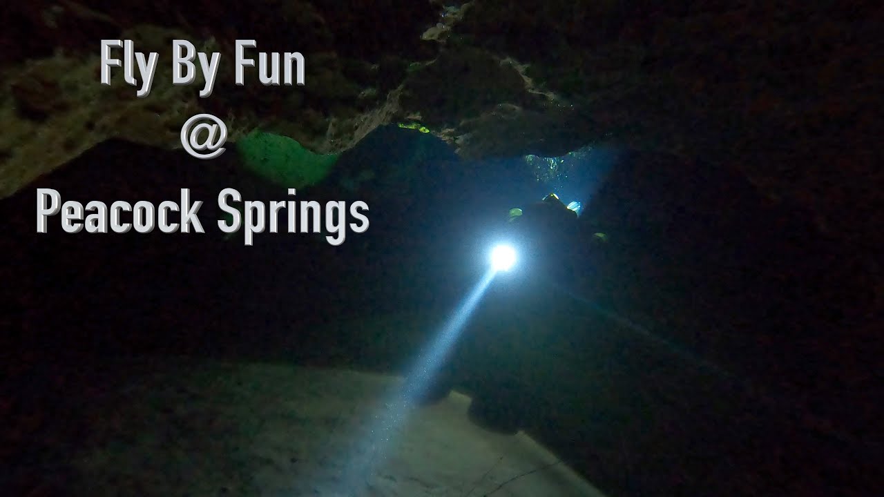 peacock main line Fly By Fun Short - YouTube