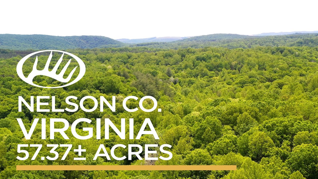 Nelson County, VA 57.37± Acres - YouTube
