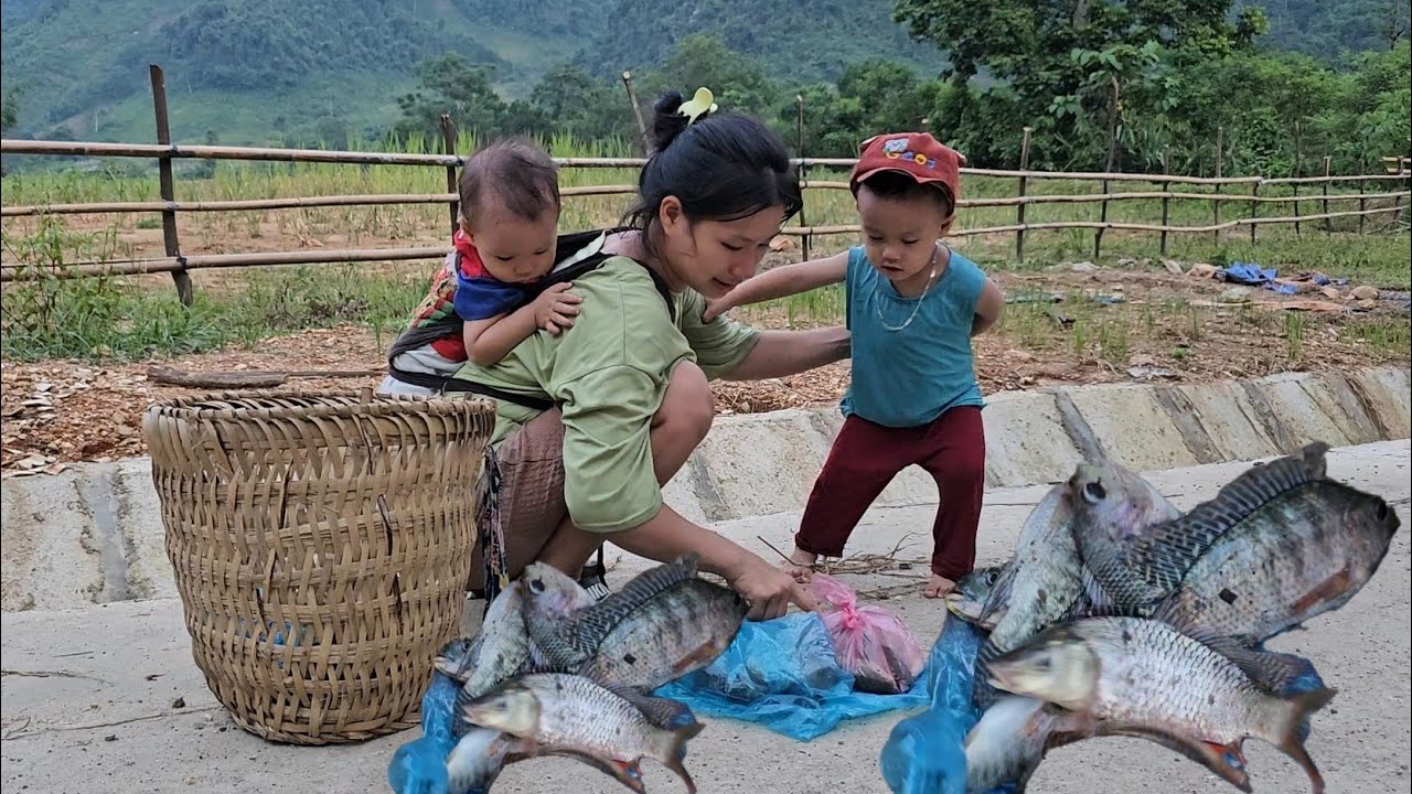 3 mother children went together to catch fish to sell at the market ...