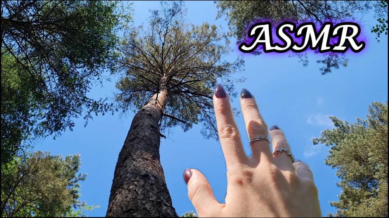 ASMR Visual Triggers and Air Tracing with Mouth Sounds/Tongue Clicks ...