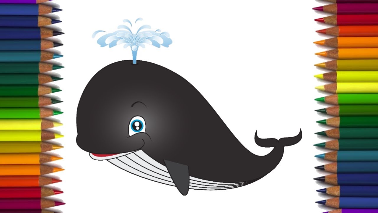 How To Draw a Cute Whale Fish Step By Step - YouTube