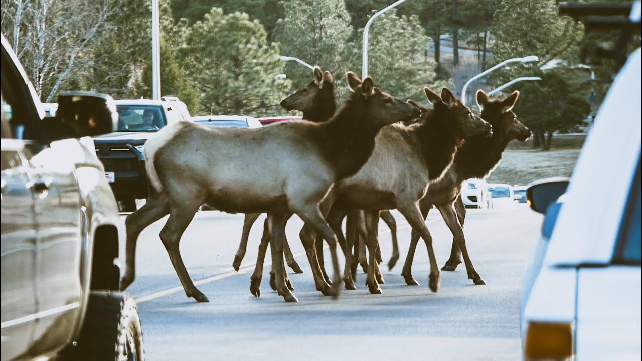 Ruidoso, New Mexico: Sierra Blanca - YouTube