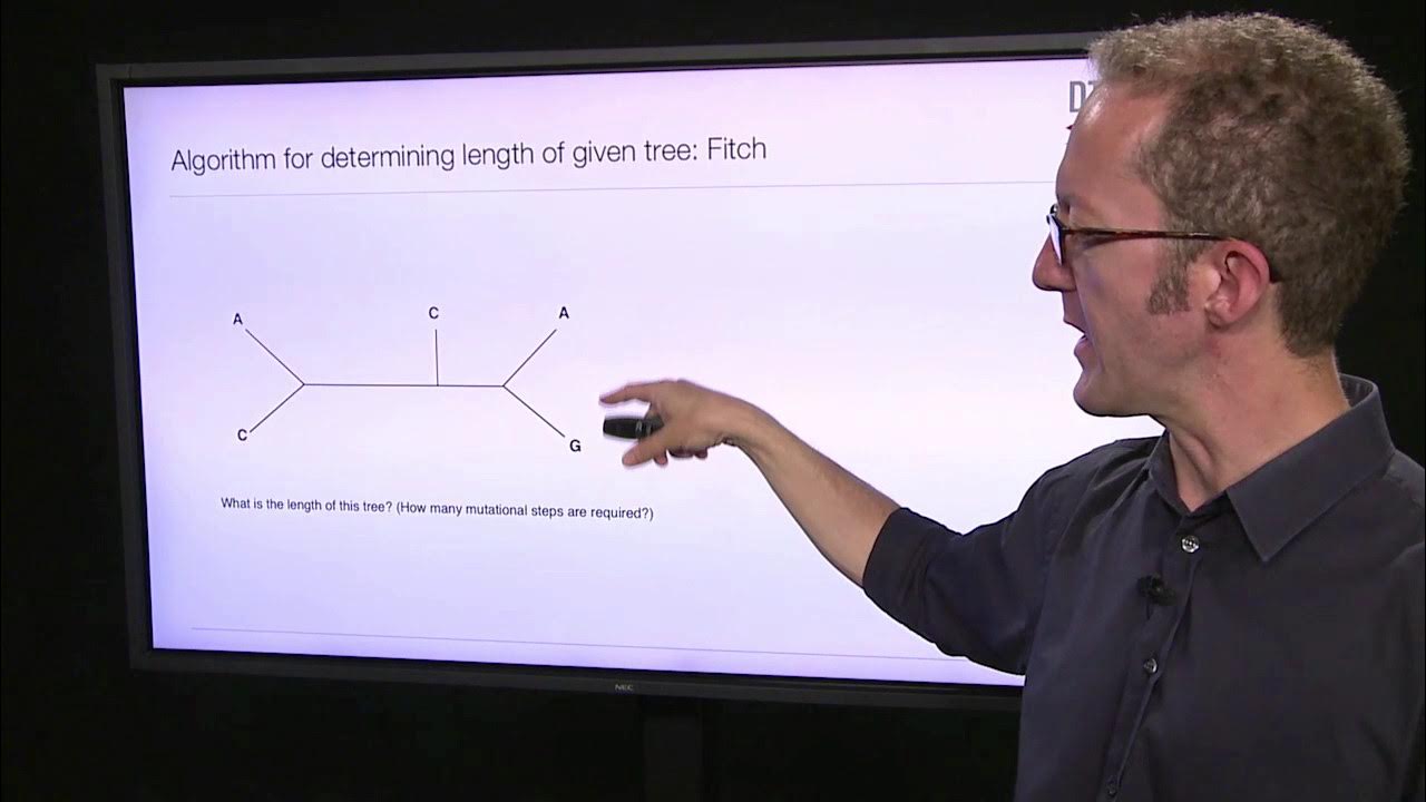 The Fitch Algorithm - YouTube