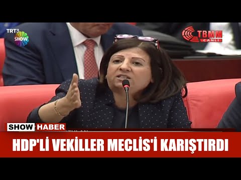 HDP'li vekiller Meclis'i karıştırdı