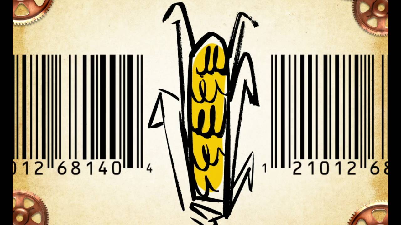 Semillas y patentes sobre los organismos vivos - YouTube