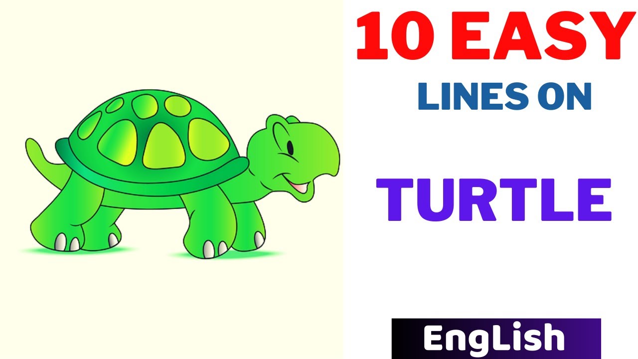 10 Lines on Turtle Sea Animal in English 📖 Best Easy Speech Line on ...