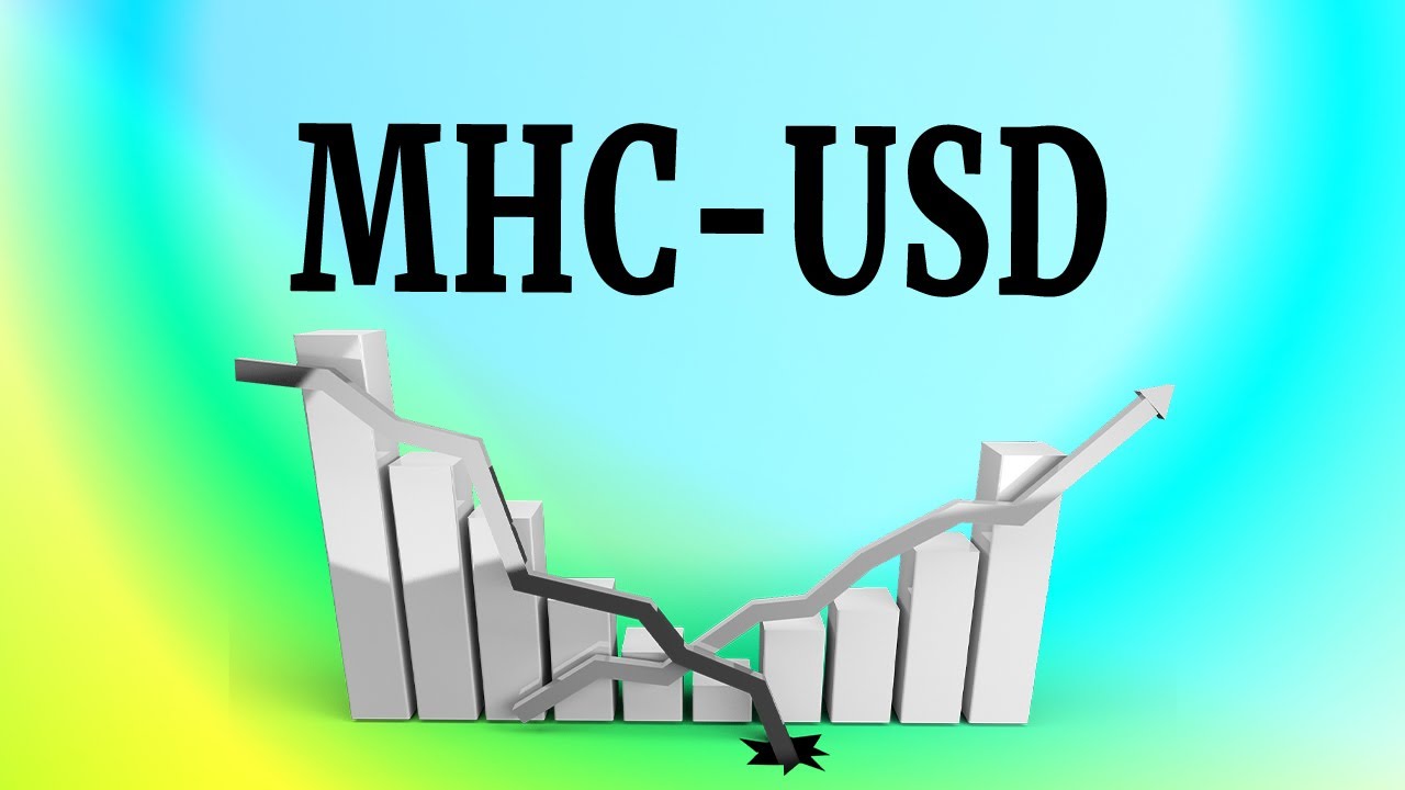 Meta Hash (MHC-USD) Cryptocurrency Animated Graph January-May 2021 ...