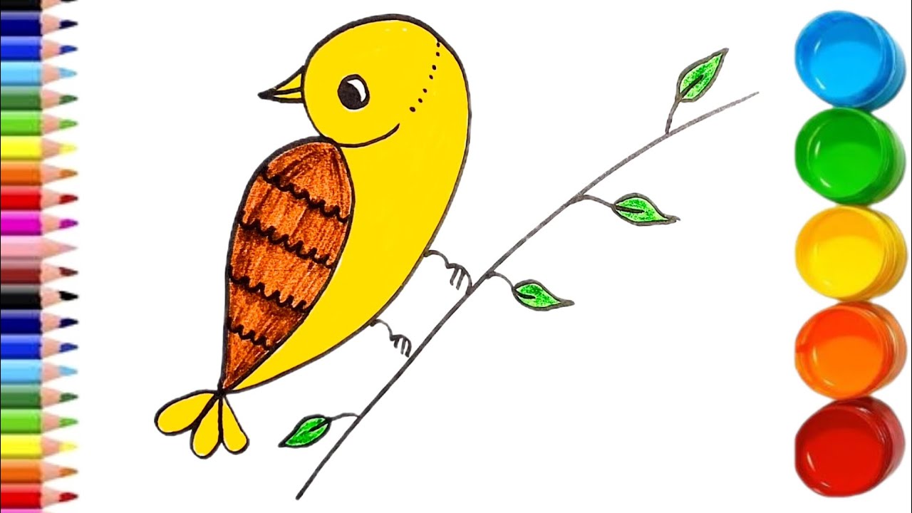 How to draw Sparrow | Sparrow drawing and coloring for kids | easy ...