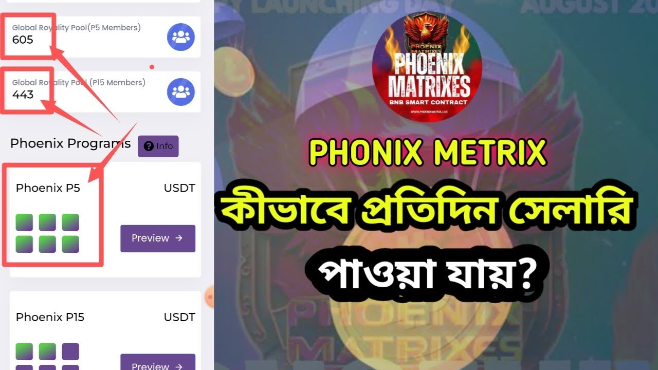 How to get phoenix matrix daily salary । কি করলে ফোনিক্স মেট্রিক্স থেকে প্রতিদিন বেতন পাওয়া ...