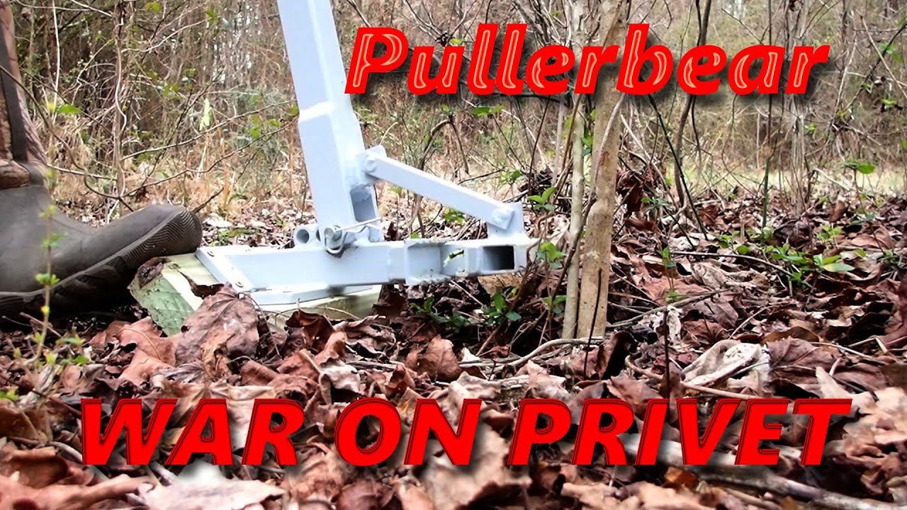 PULLERBEAR Tree Puller War on Privet - YouTube
