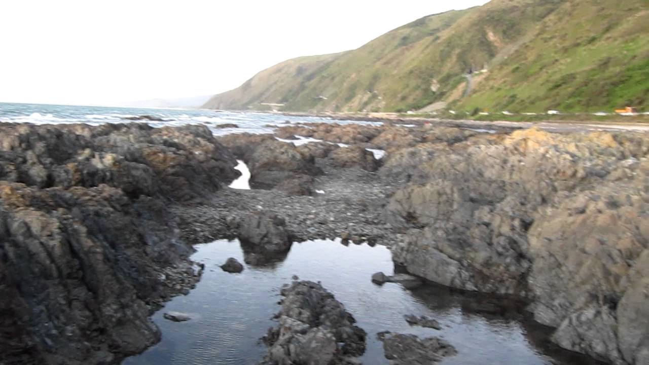 Pukerua Bay, New Zealand - YouTube