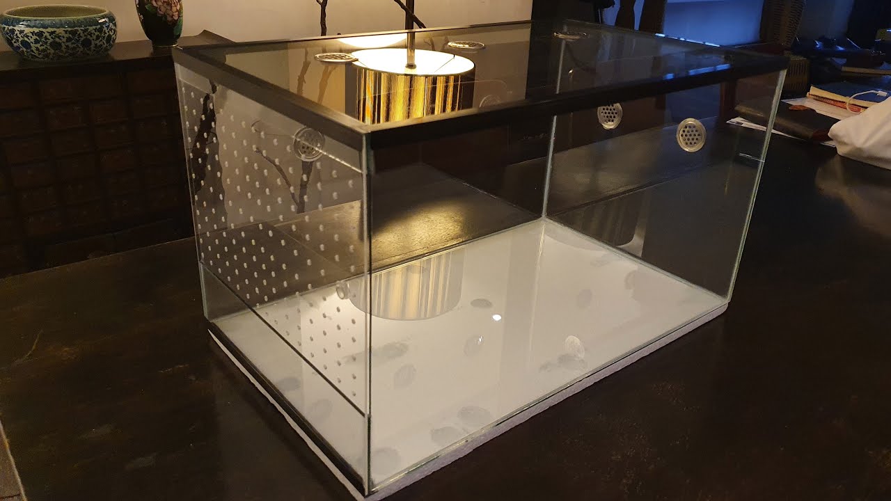 Leopard Gecko Glass Enclosure with Acrylic Sliding Door | 18"x12"x10 ...