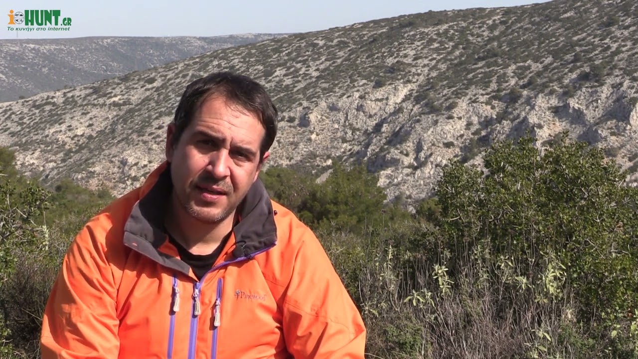 ΛΑΓΟ...ΚΟΥΒΕΝΤΕΣ : ΟΙ ΠΛΗΘΥΣΜΙΑΚΟΙ ΚΥΚΛΟΙ ΤΟΥ ΛΑΓΟΥ - YouTube