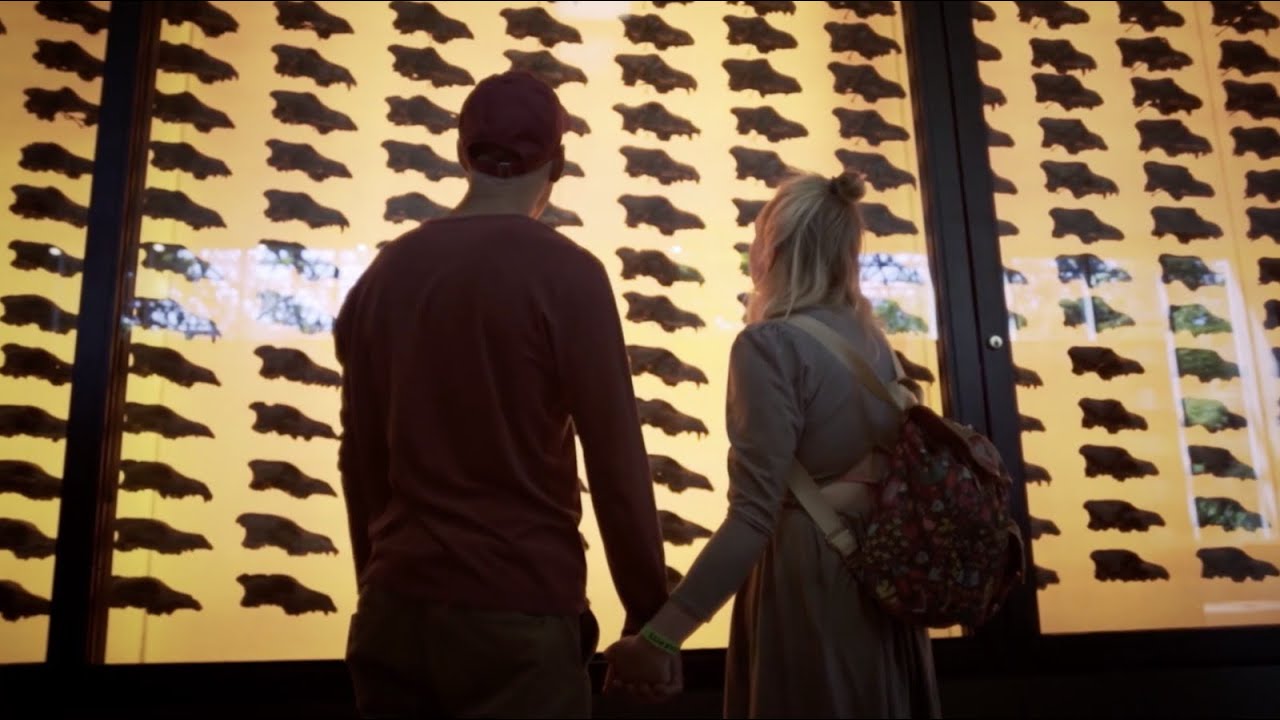 Our Amazing Year (2019) - YouTube