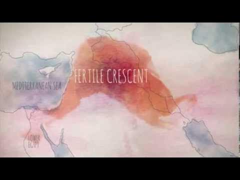 Should we eat bugs Emma Bryce - YouTube