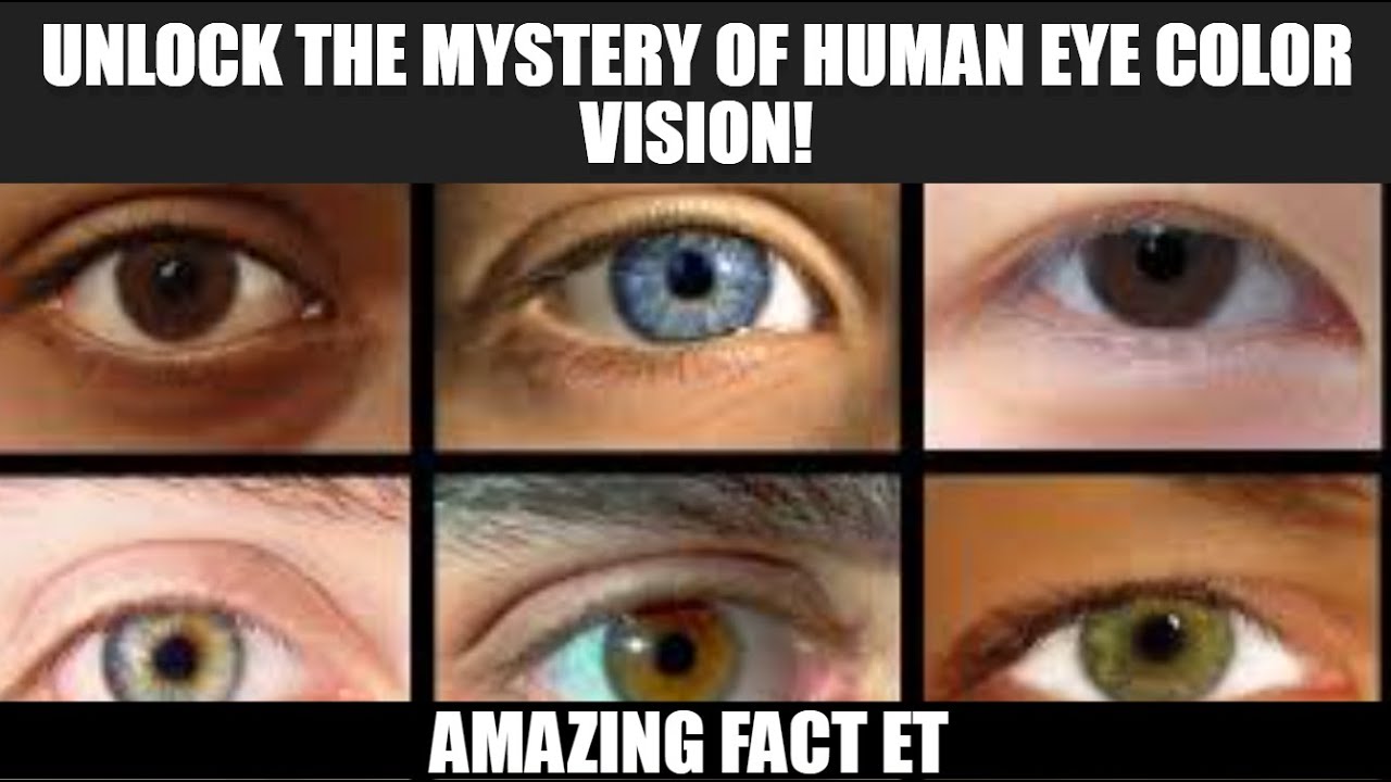 Part 10 Unlock the Mystery of Human Eye Color Vision! - YouTube