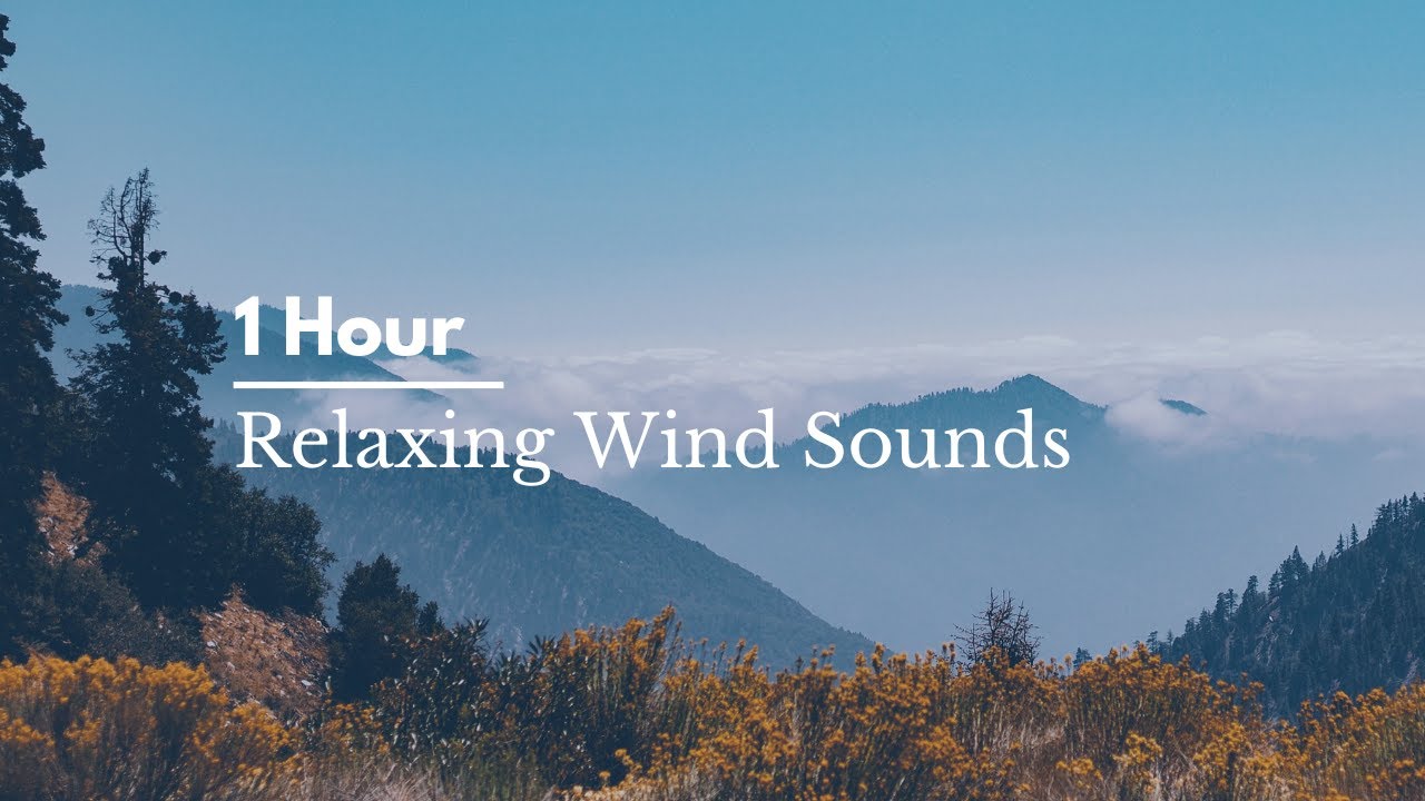 1 Hour of Relaxing Wind Sounds to Chill, Sleep, Study and Work - YouTube
