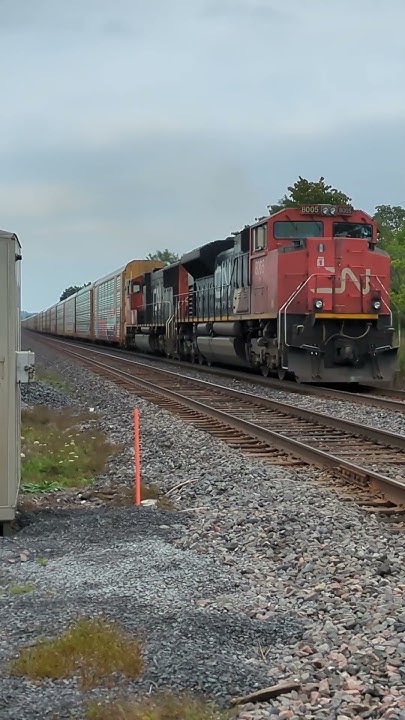 CN 8005 with a killer K5LLA - YouTube