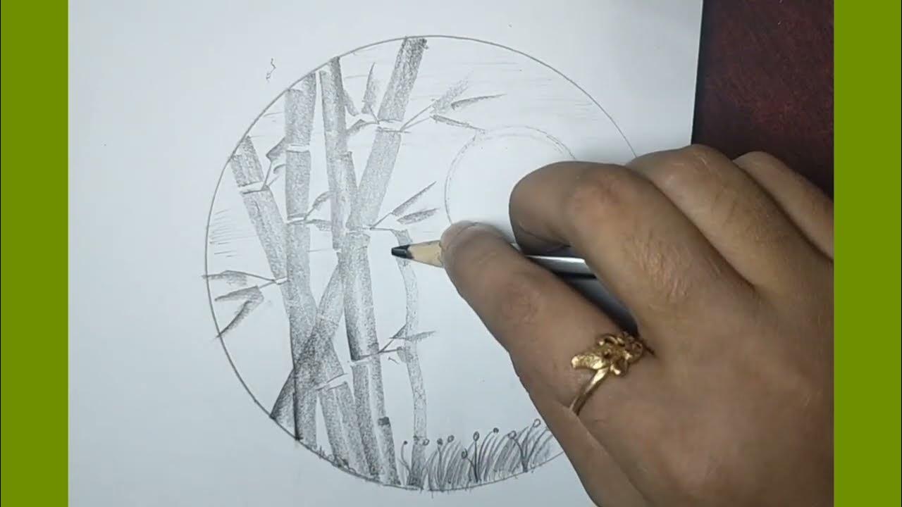 How to draw a bamboo tree|Bamboo drawing | - YouTube