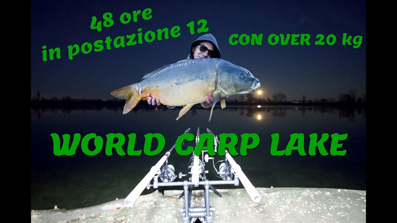 World Carp Lake - Postazione 12 - YouTube