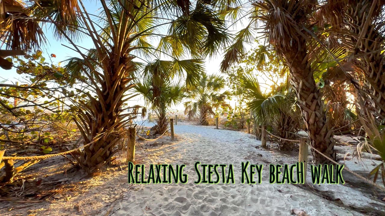 "Take a Peaceful 40-Min Walk on Siesta Key Beach – Virtual Escape ...