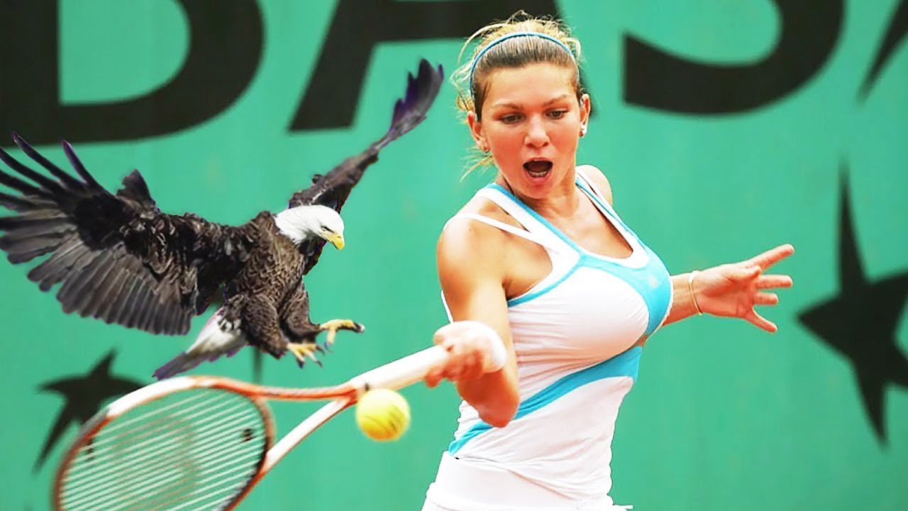 20 EPIC MOMENTS WITH ANIMALS IN SPORTS - YouTube