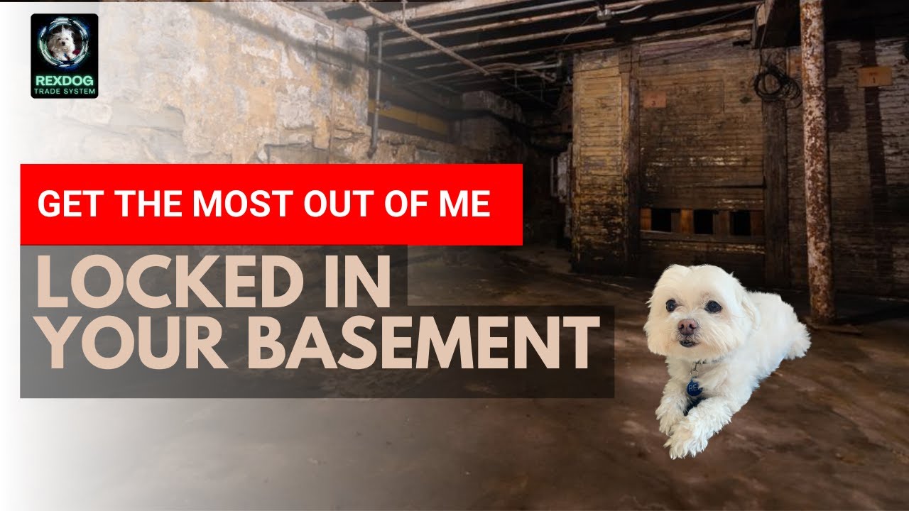 I'm Locked In Your Basement.. Get the Most Out of Me - YouTube