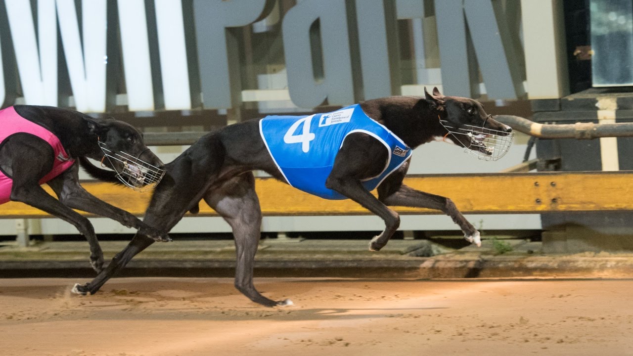 TAB Melbourne Cup Prelude 7 - YouTube