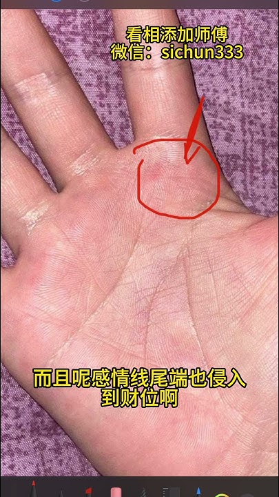正财一般，偏财很旺的手相！一夜暴富！ 手相 Youtube