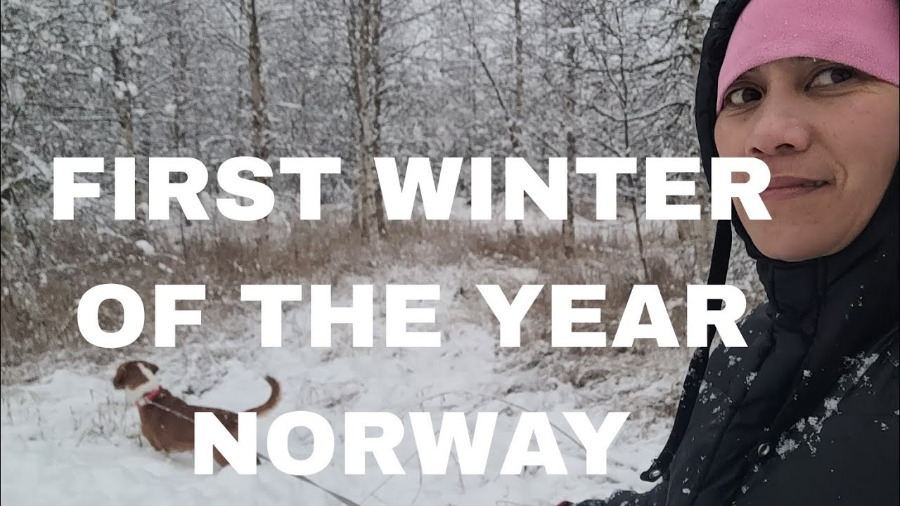 First Week Of Winter This Year/ Norway Winter - YouTube
