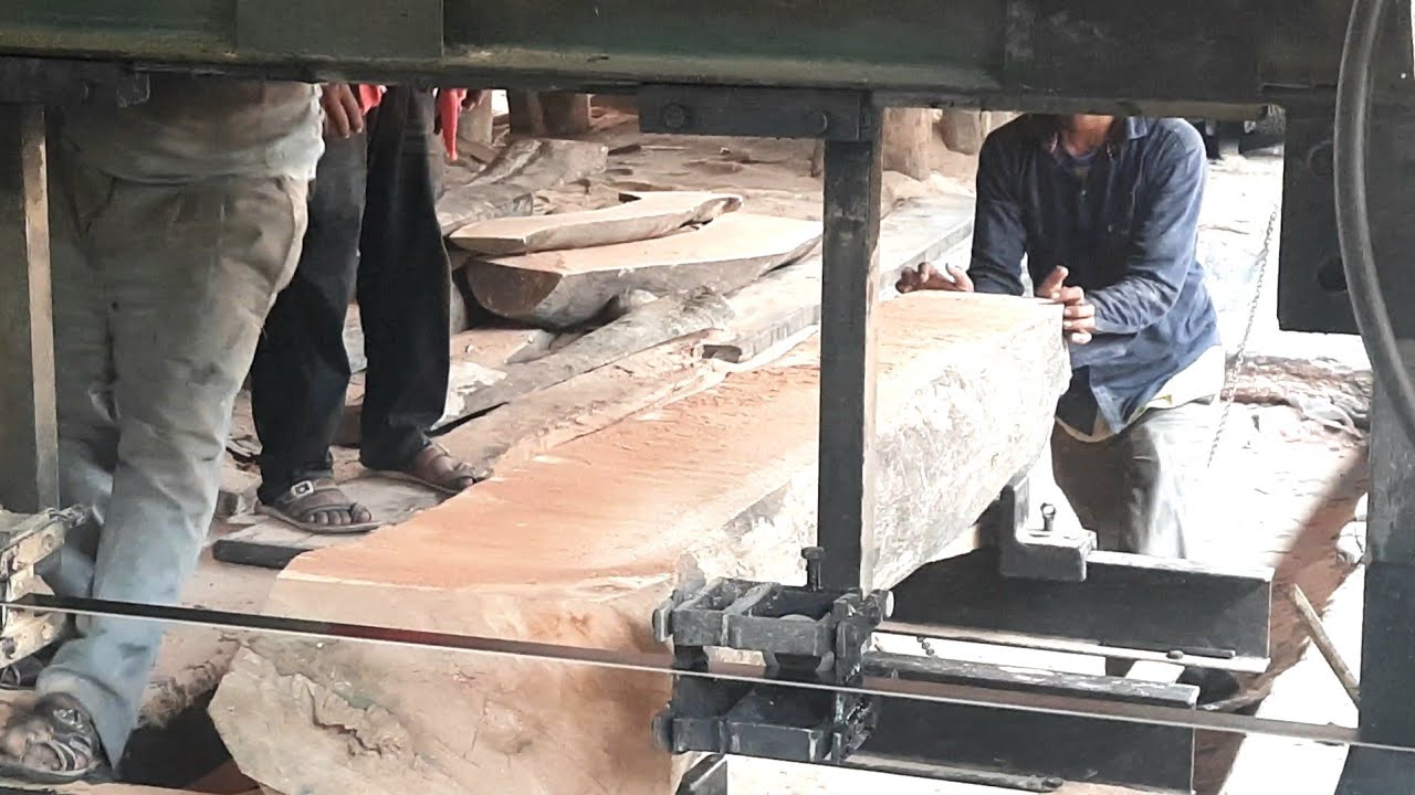 Amazing Wood cutting factory || Wood cutting process - YouTube