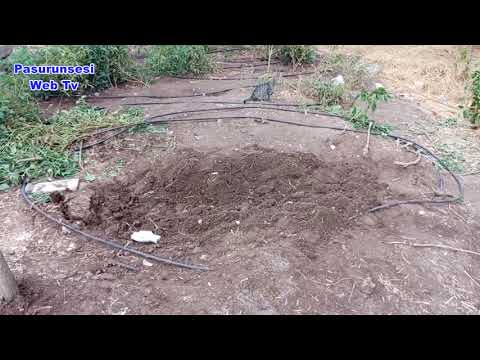 Genç kadını elektrik çarptı, yakınları hastanede tedaviyi reddedip toprağa gömdü