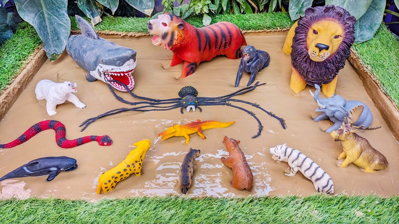 Wild Rescue: Saving Deadly Animals from the Mud! | Educational Fun for ...
