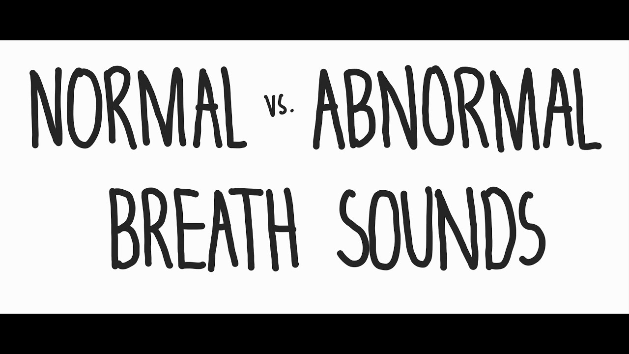 NORMAL vs. ABNORMAL BREATH SOUNDS + NLE COMMON BOARD QUESTIONS | ALYSSA ...