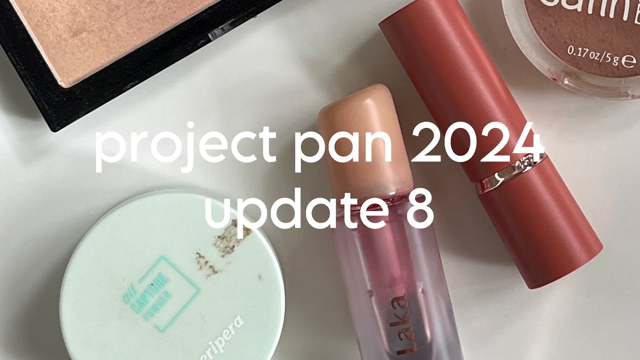 (th) Project Pan 2024 - Update 8 - YouTube