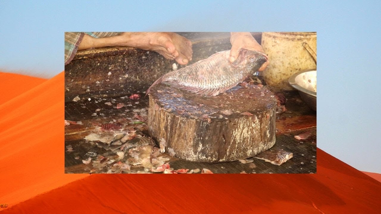 Small Tilapia fish first cutting & slicing Ι Ι Natural Fish Processing ...