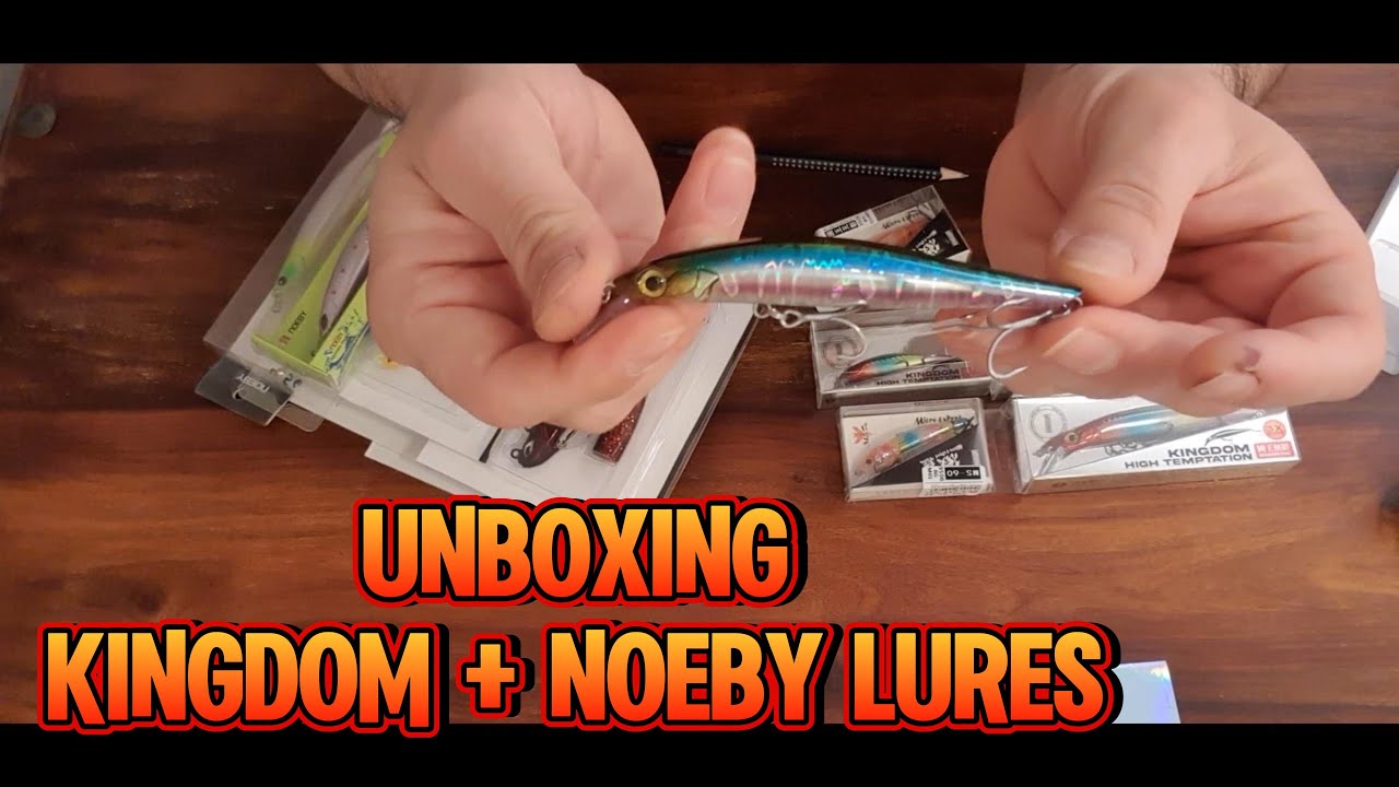 AliExpress order with Noeby Suspending Minnow + Vibration Jig head and ...