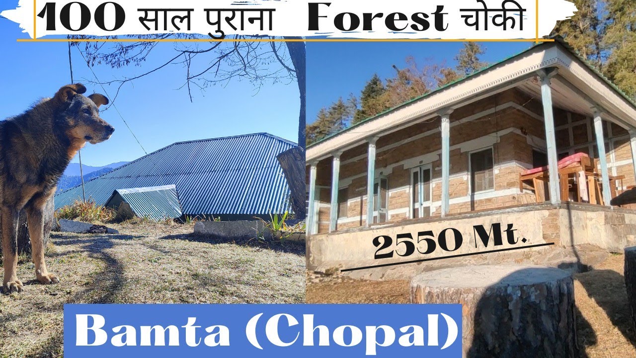 100 साल पुरानी l Forest चोकी l Bamta (CHOPAL) l Musafir HP 08 - YouTube