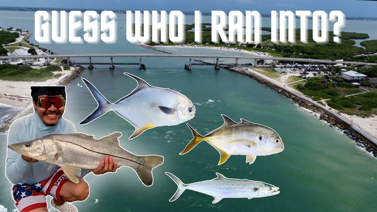 Snook Chew Was On Fire | Sebastian Inlet (Snook, Mackerel, Jack) - YouTube