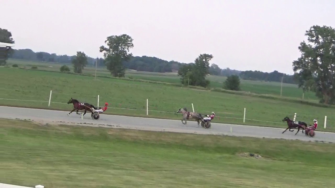 Nappanee Raceway 6-19-20 Golden Ticket wins in 1:14.4 - YouTube