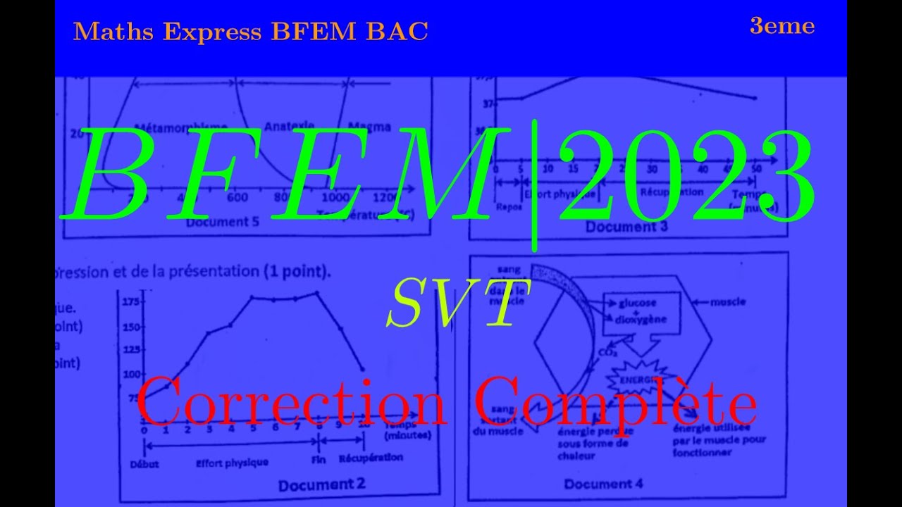 🔥 BFEM 2023 : Correction Complète de l’Épreuve de SVT | À Ne Pas Rater pour Réussir ! - YouTube