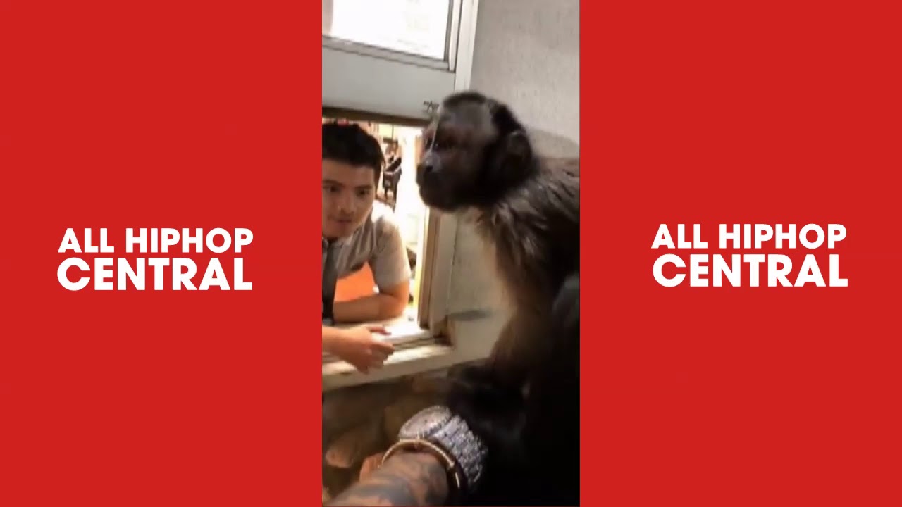 Swae Lee Drives His Pet Monkey To Drive-Thru 😂 - YouTube